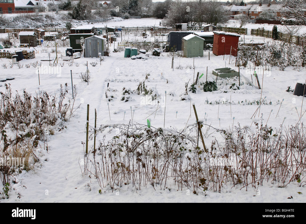 Gardens covered in snow hi-res stock photography and images - Alamy