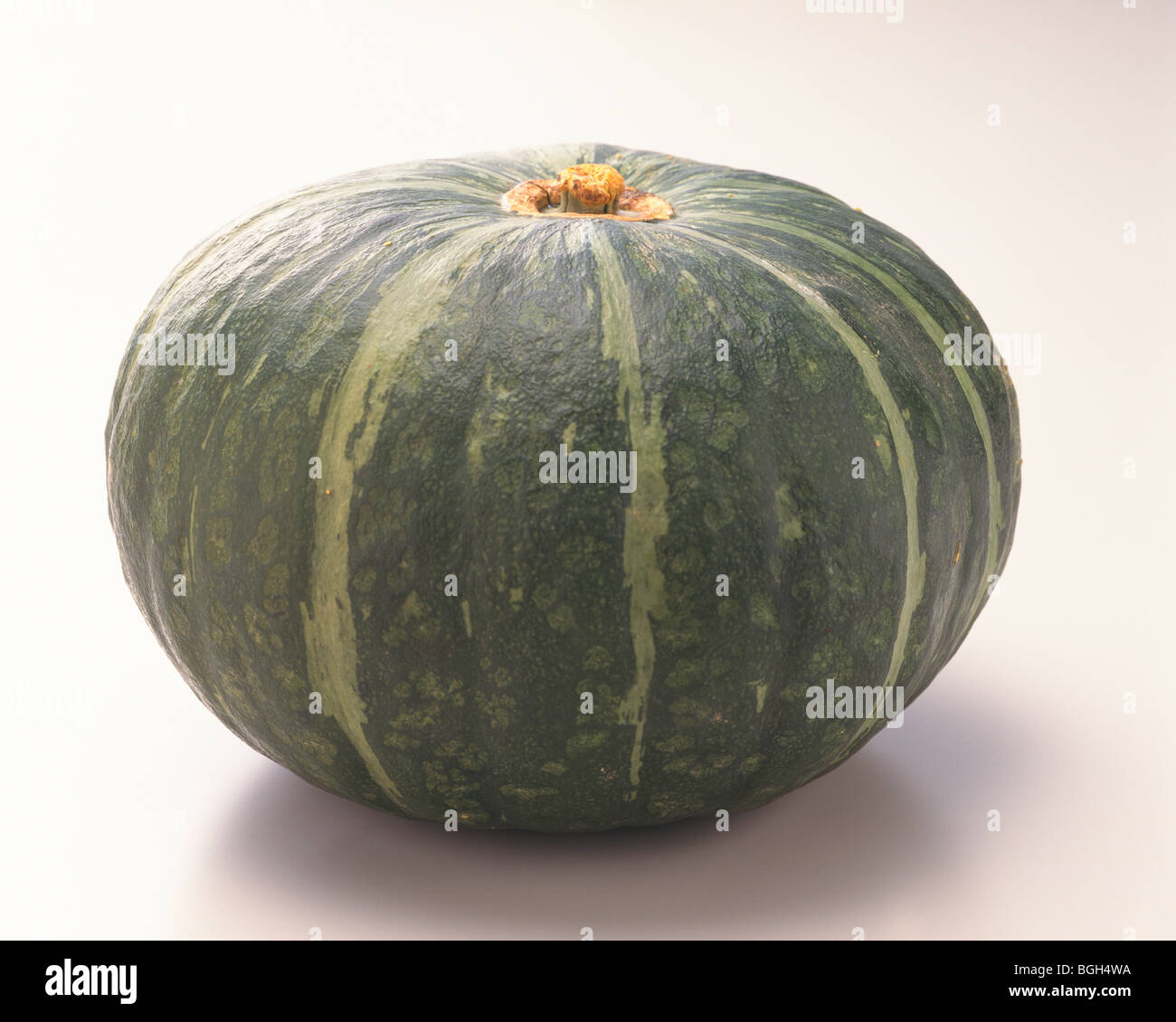 Japanese pumpkin hi-res stock photography and images - Alamy