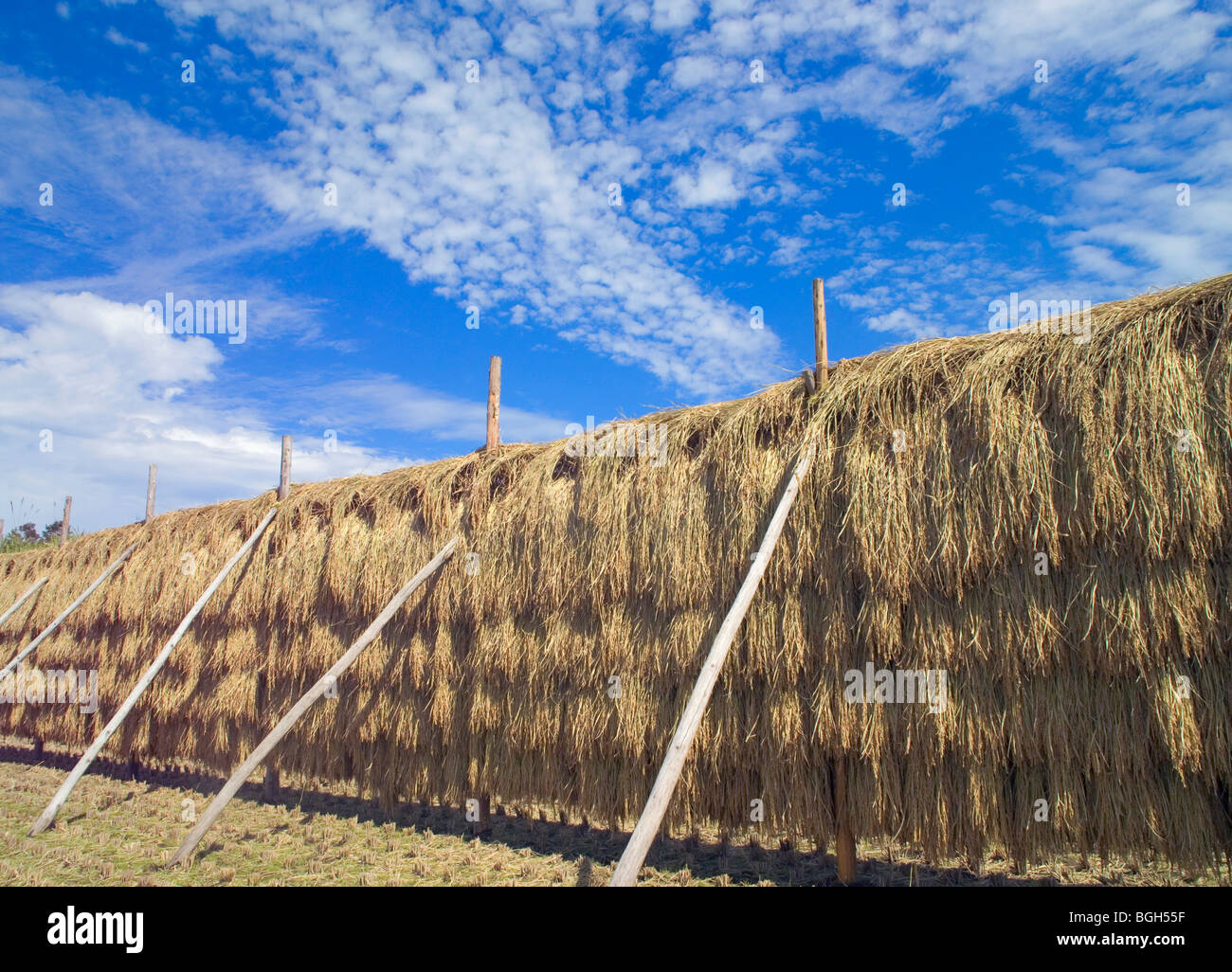 Houki machi hi-res stock photography and images - Alamy