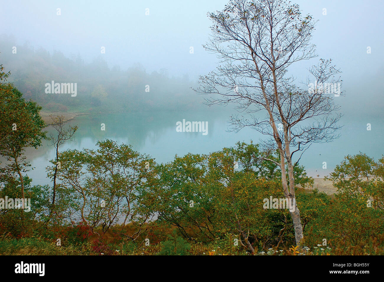 Gumma Prefecture High Resolution Stock Photography and Images - Alamy