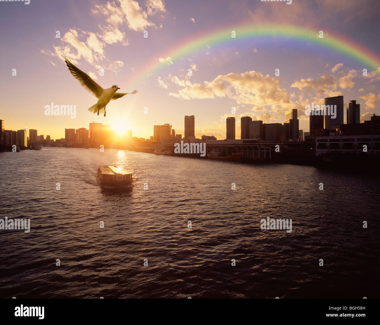 Seagull and a rainbow over Shiodome and its harbour, Chuo-ku, Tokyo ...
