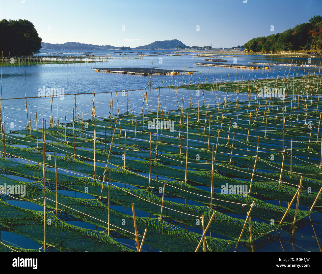 Mie japan fishing hi-res stock photography and images - Alamy