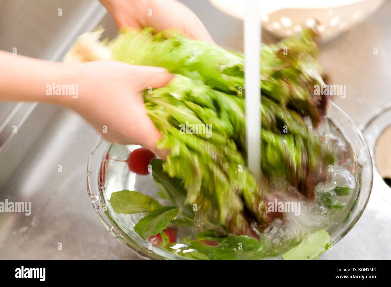 Woman washing lettuce Stock Photo - Alamy