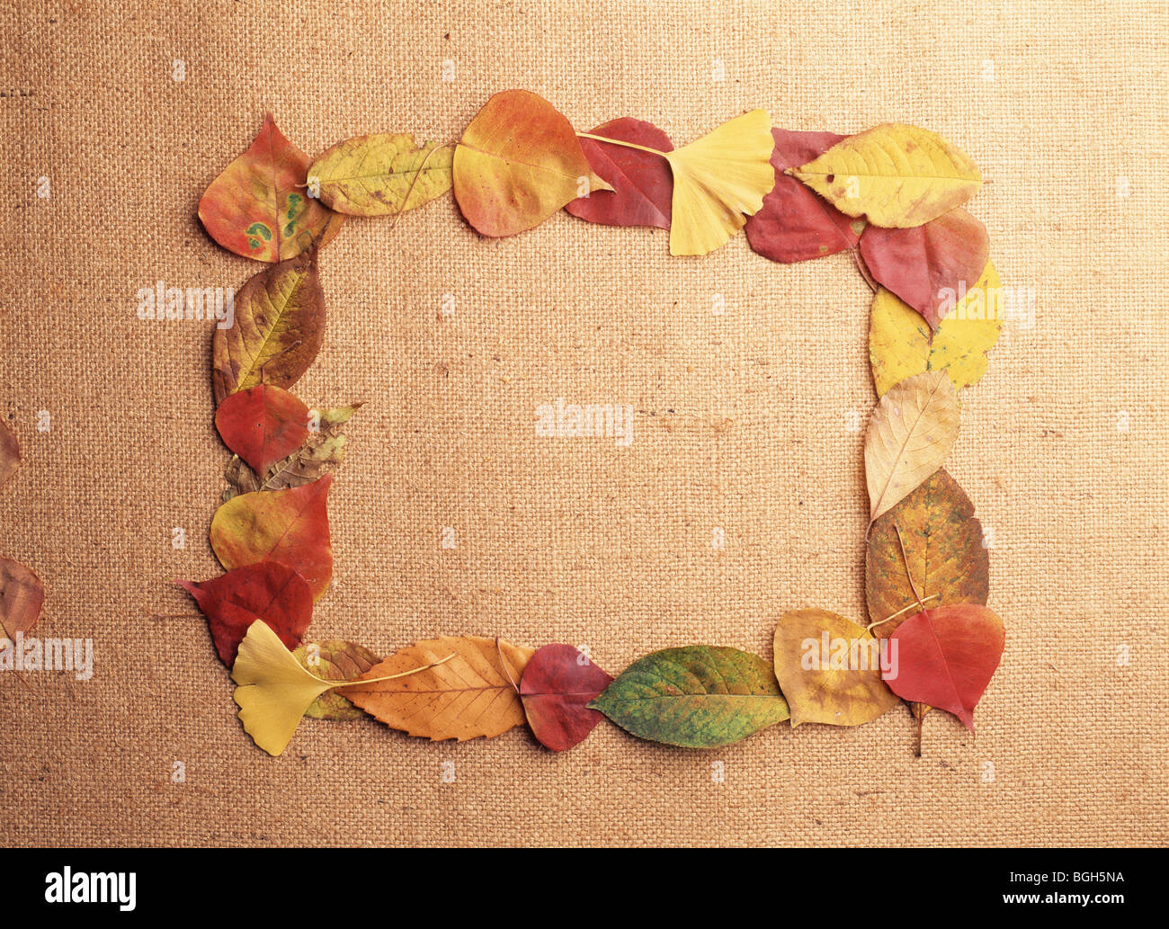 Frame of Autumn leaves Stock Photo - Alamy