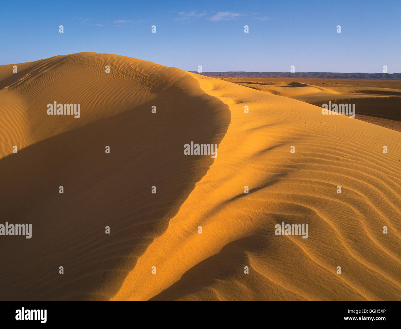 Sand dunes in desert Stock Photo - Alamy