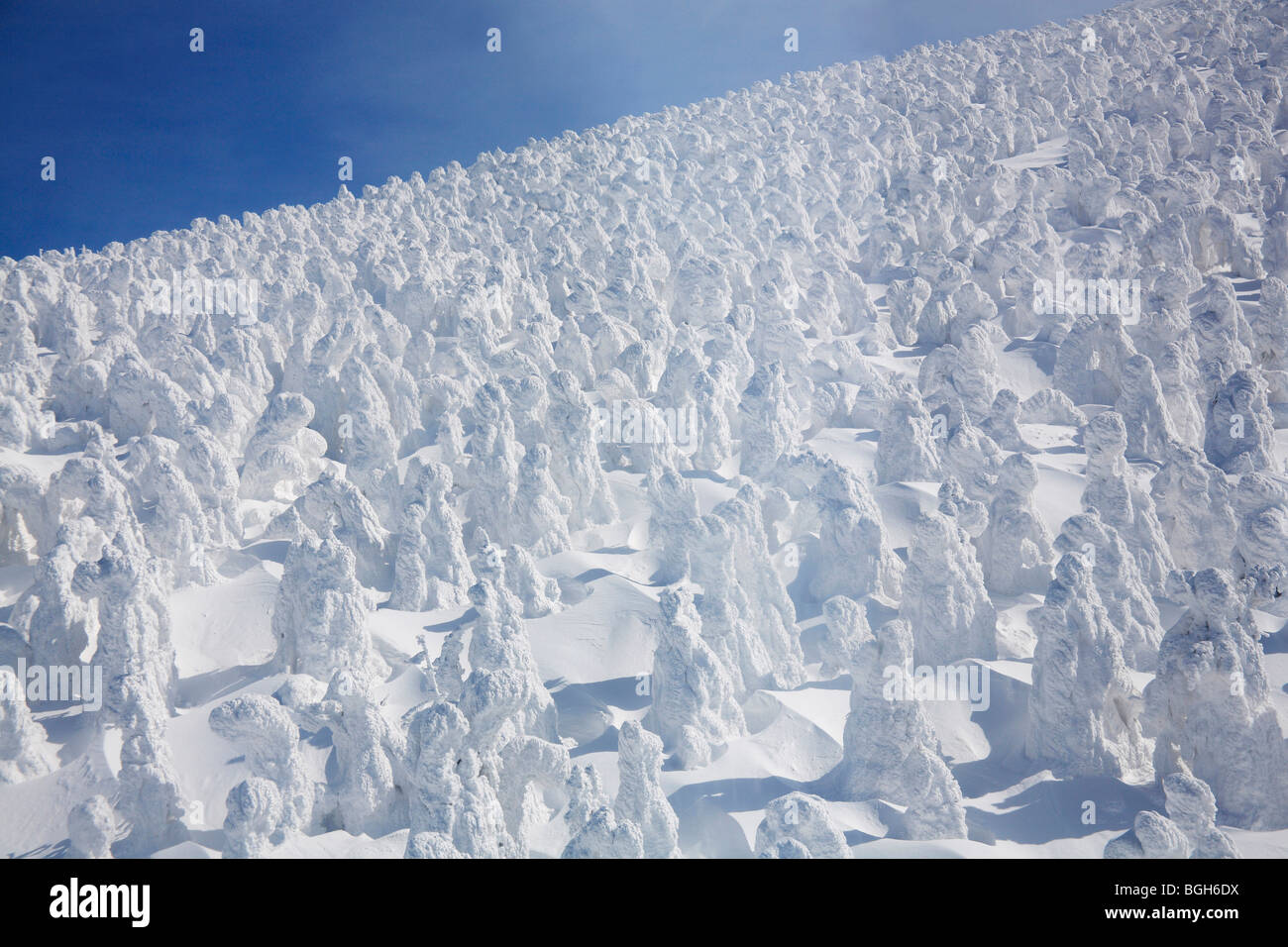 White snowscape, Yamagata Prefecture, Japan Stock Photo - Alamy