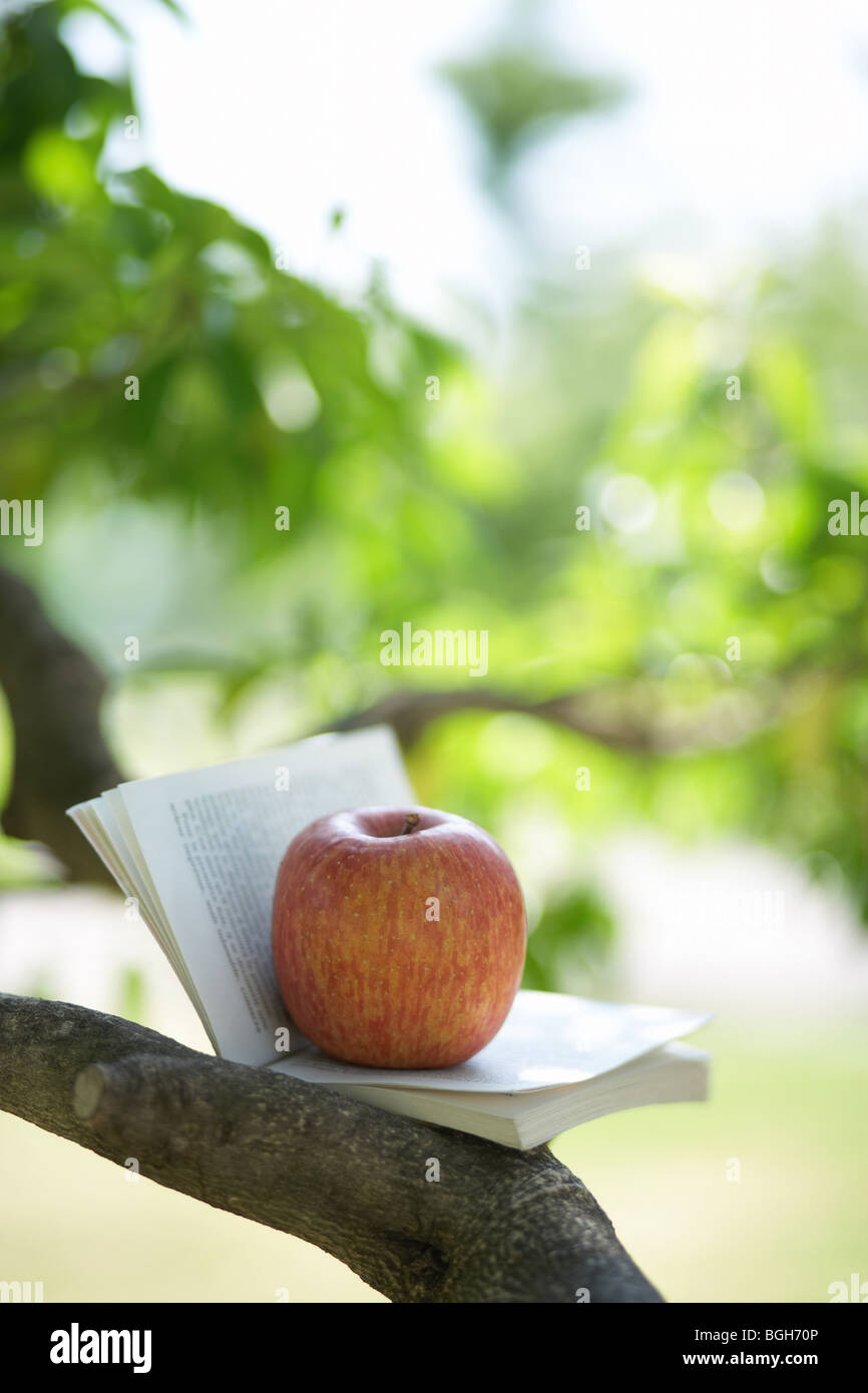 Apple on top of a book in a tree Stock Photo - Alamy
