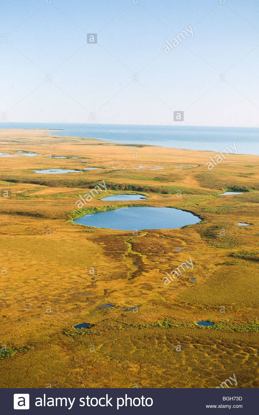 Chukchi Peninsula Stock Photos & Chukchi Peninsula Stock Images - Alamy