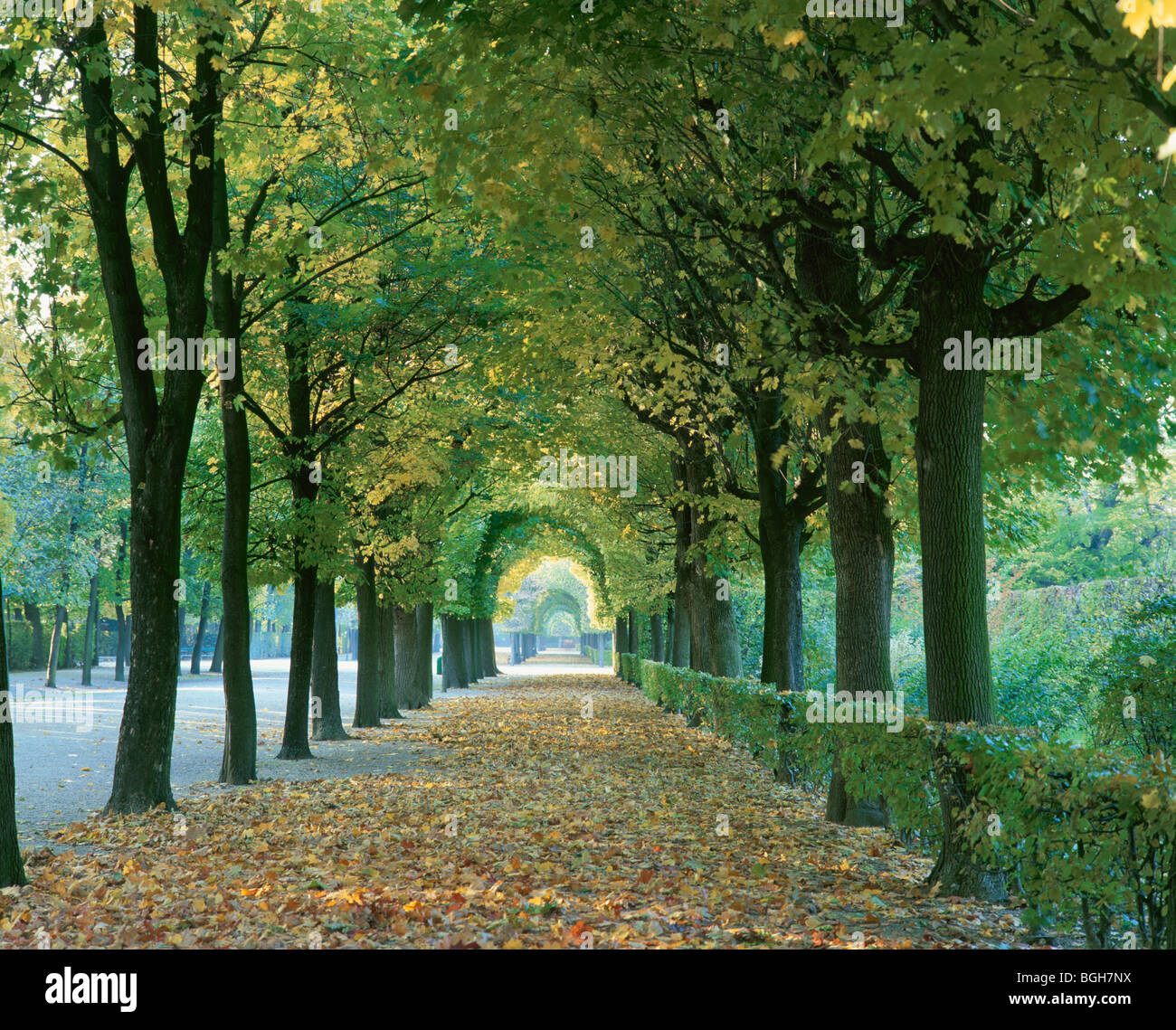 Austria in autum hi-res stock photography and images - Alamy