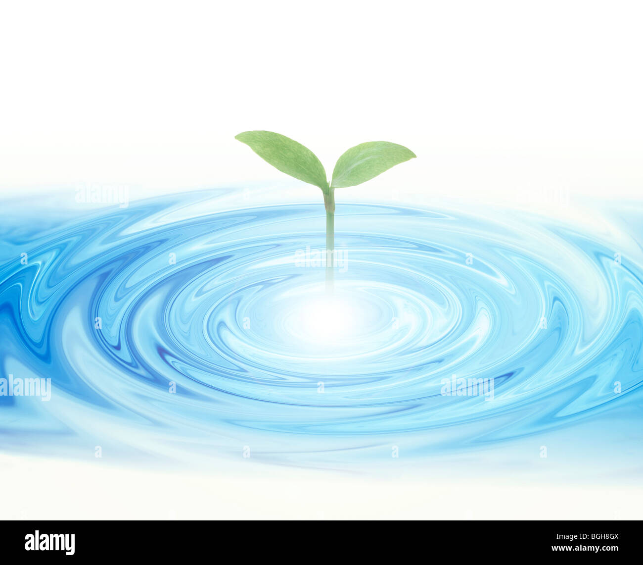 Seedling floating above a ripple Stock Photo - Alamy