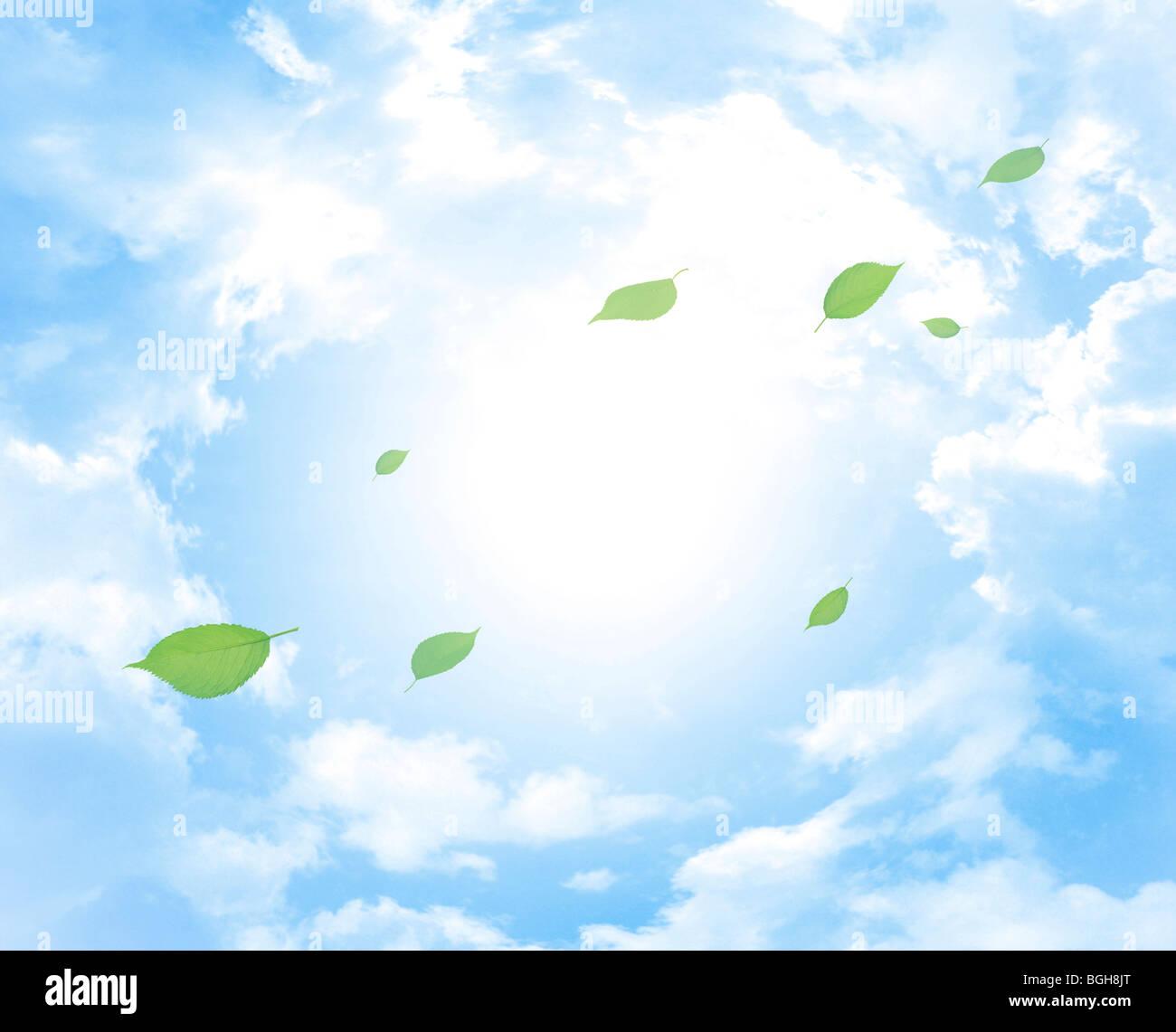 Leaves floating in a blue sky Stock Photo - Alamy