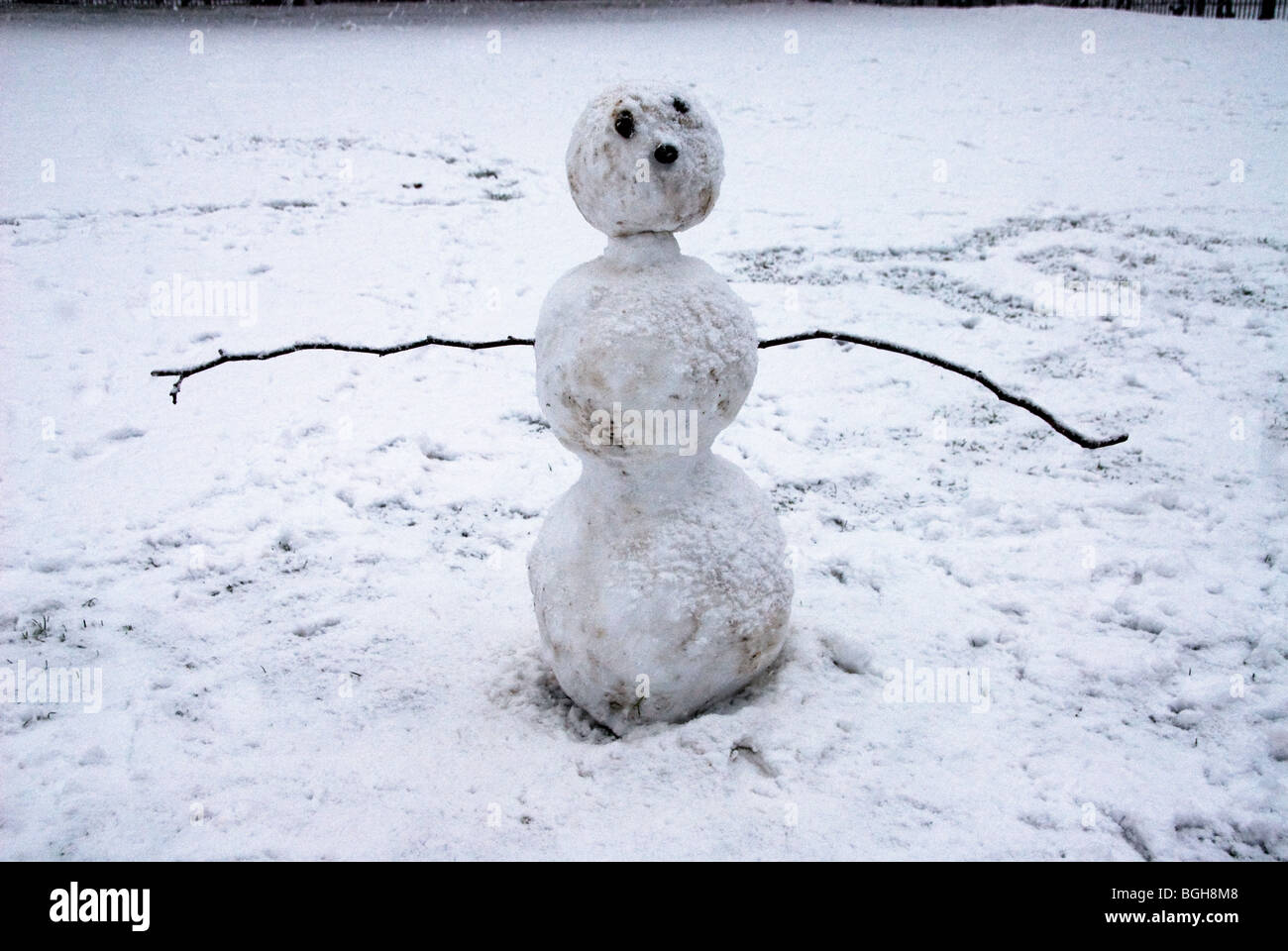 Twig arms hi-res stock photography and images - Alamy