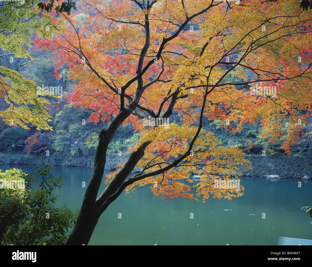 Oi River Japan High Resolution Stock Photography and Images - Alamy