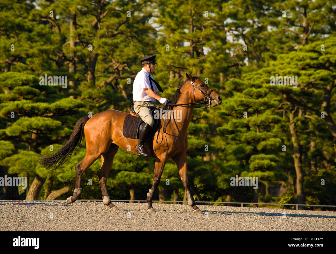 Imperial police hi-res stock photography and images - Alamy