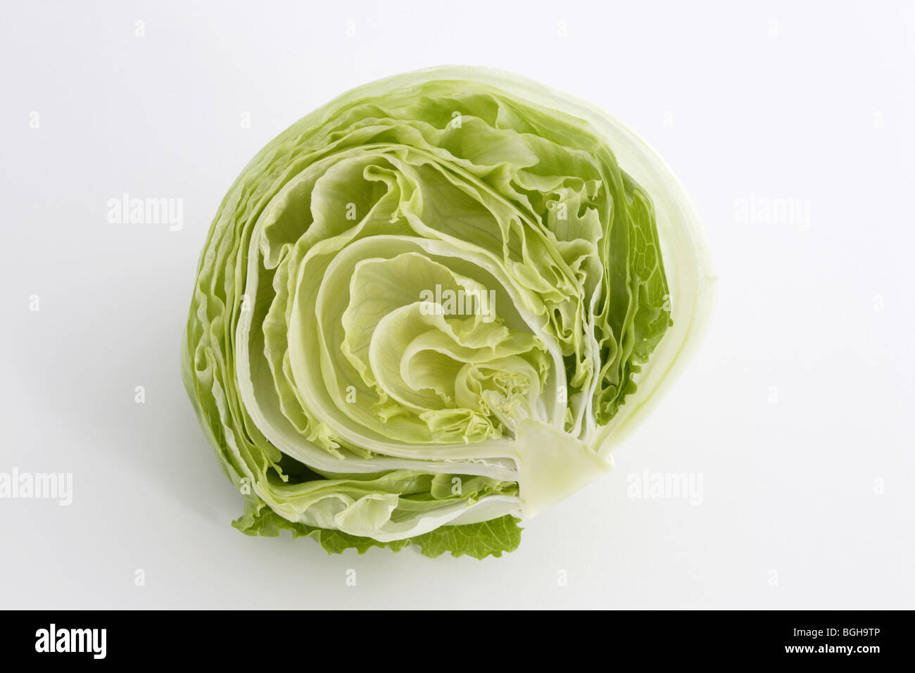 Horizontal lettuce hi-res stock photography and images - Alamy