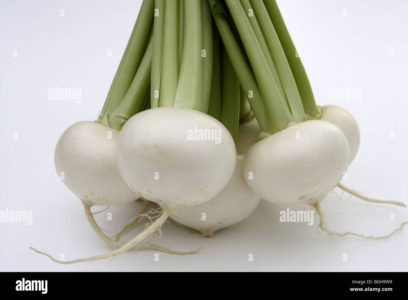 Food image of white turnips hi-res stock photography and images - Alamy