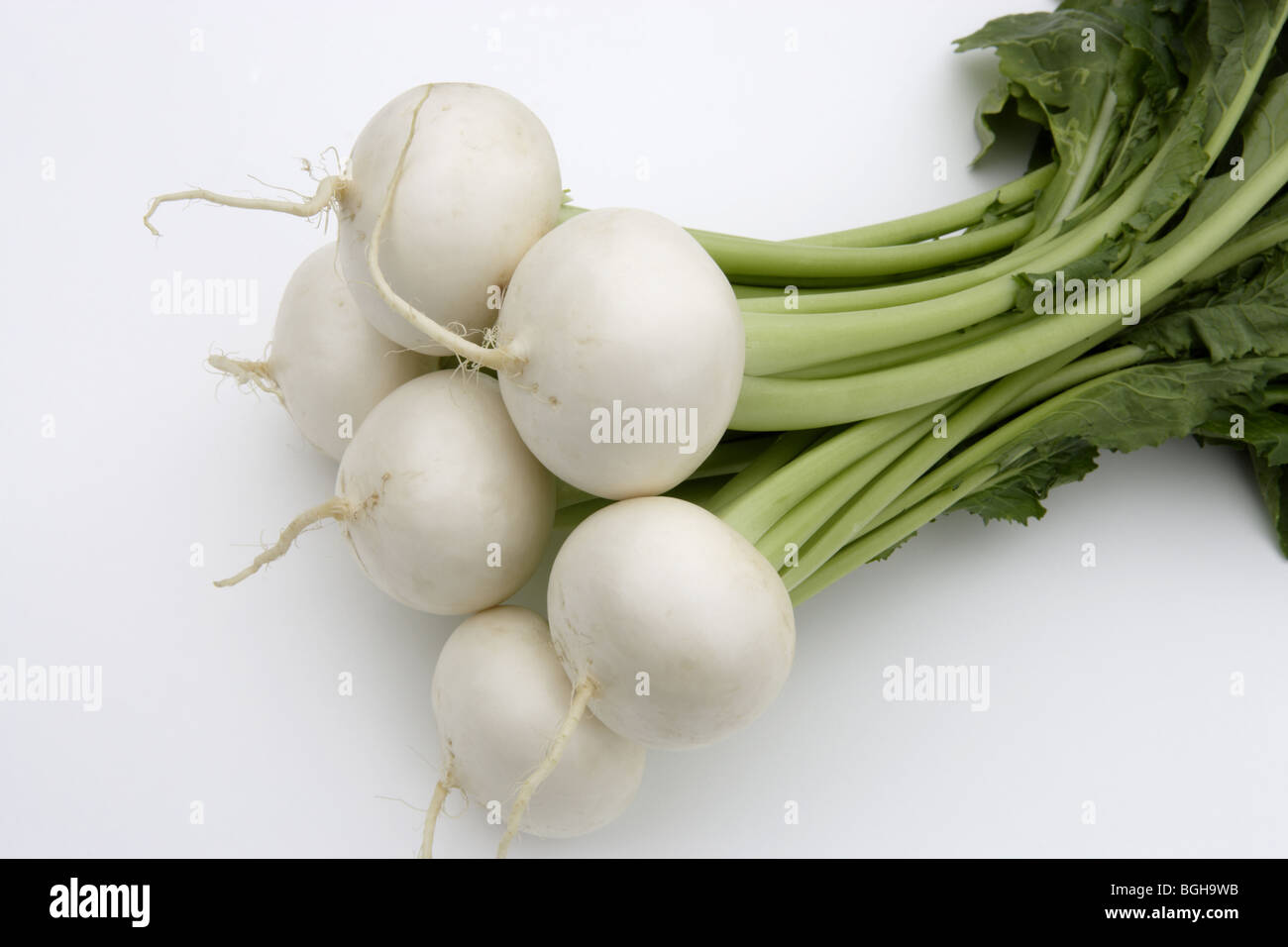 Image of white turnips hi-res stock photography and images - Alamy