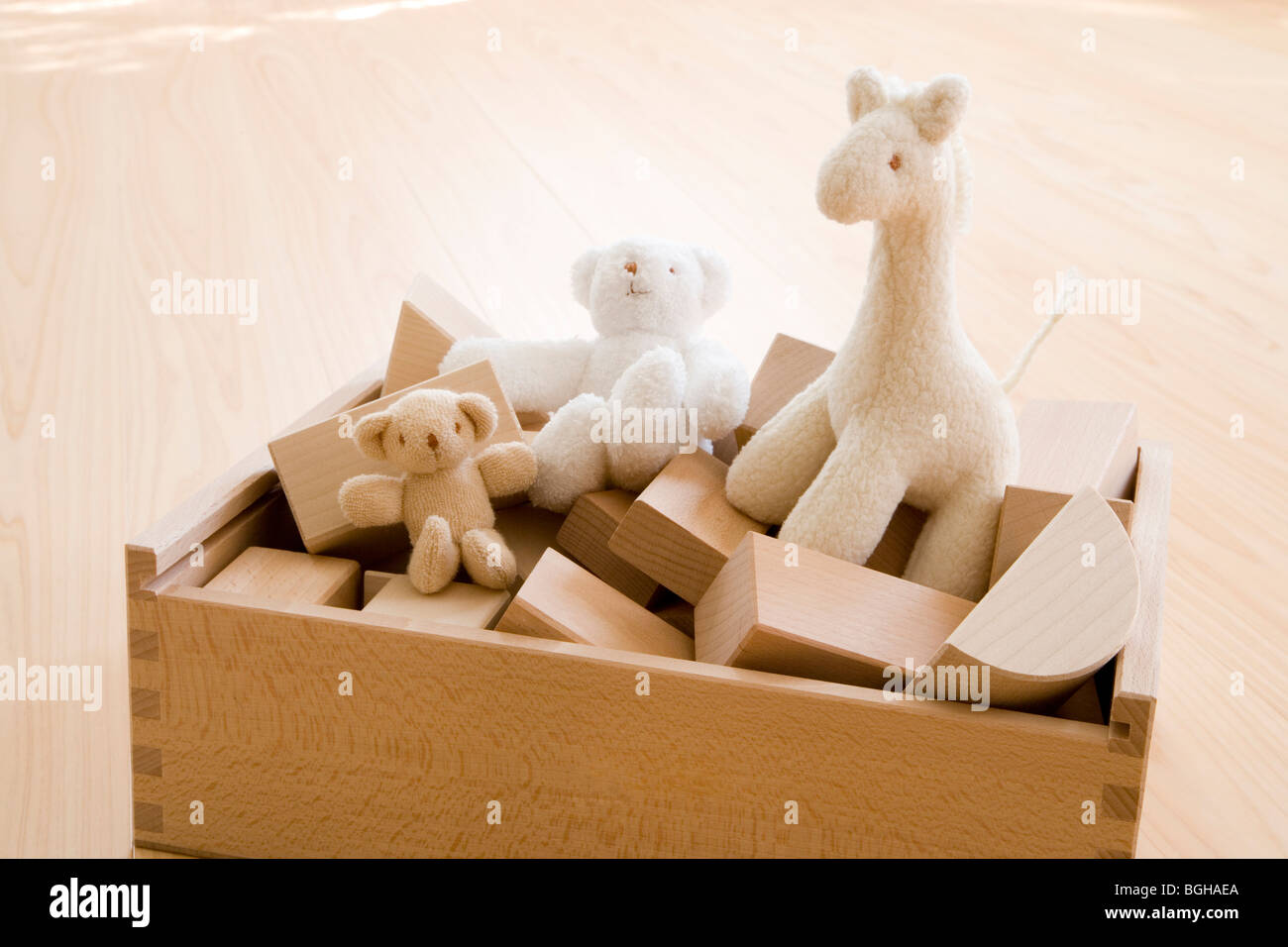 Giraffe in the box hi-res stock photography and images - Alamy