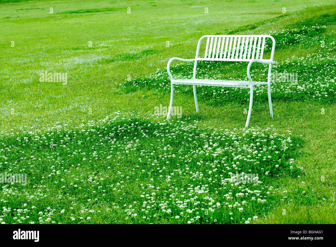 White bench in a field Stock Photo - Alamy