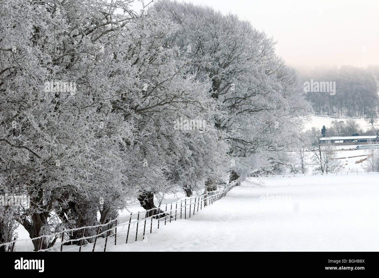 A snowy landscape scene in Perthshire, Scotland Stock Photo - Alamy