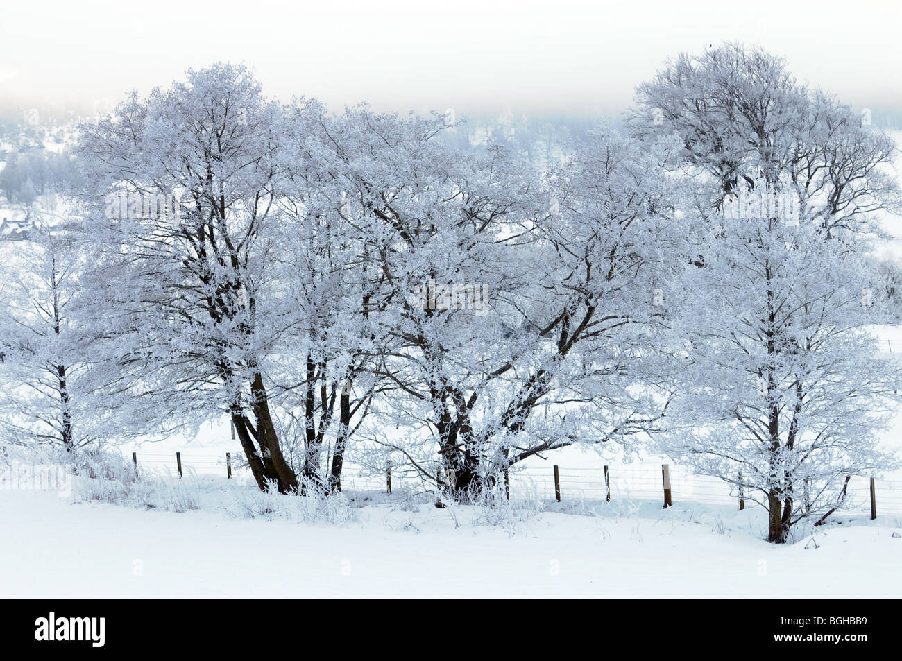 A snowy landscape scene in Perthshire, Scotland Stock Photo - Alamy