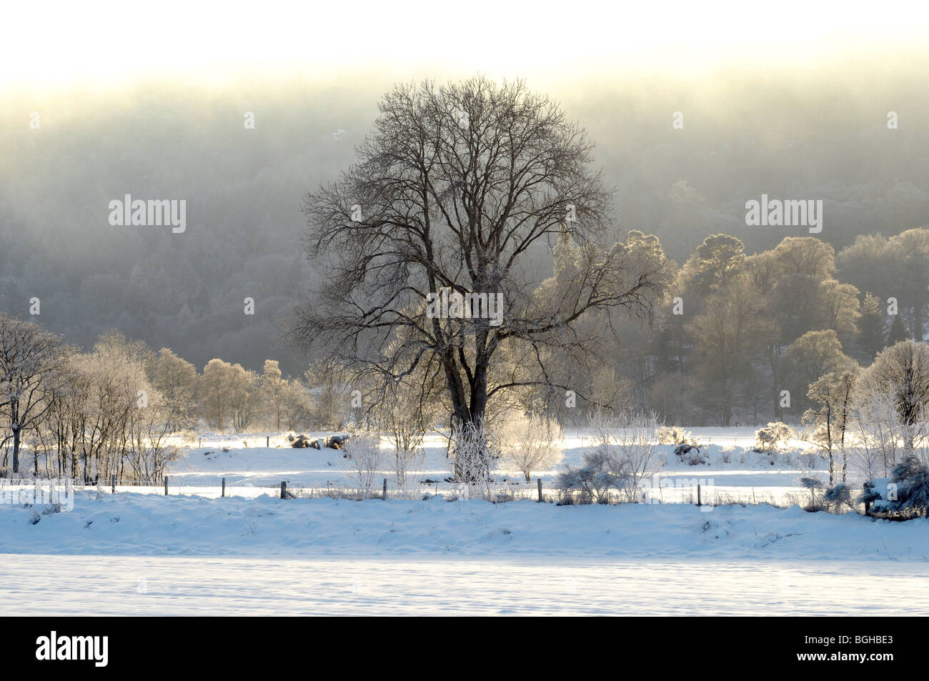 A snowy landscape scene in Perthshire, Scotland Stock Photo - Alamy