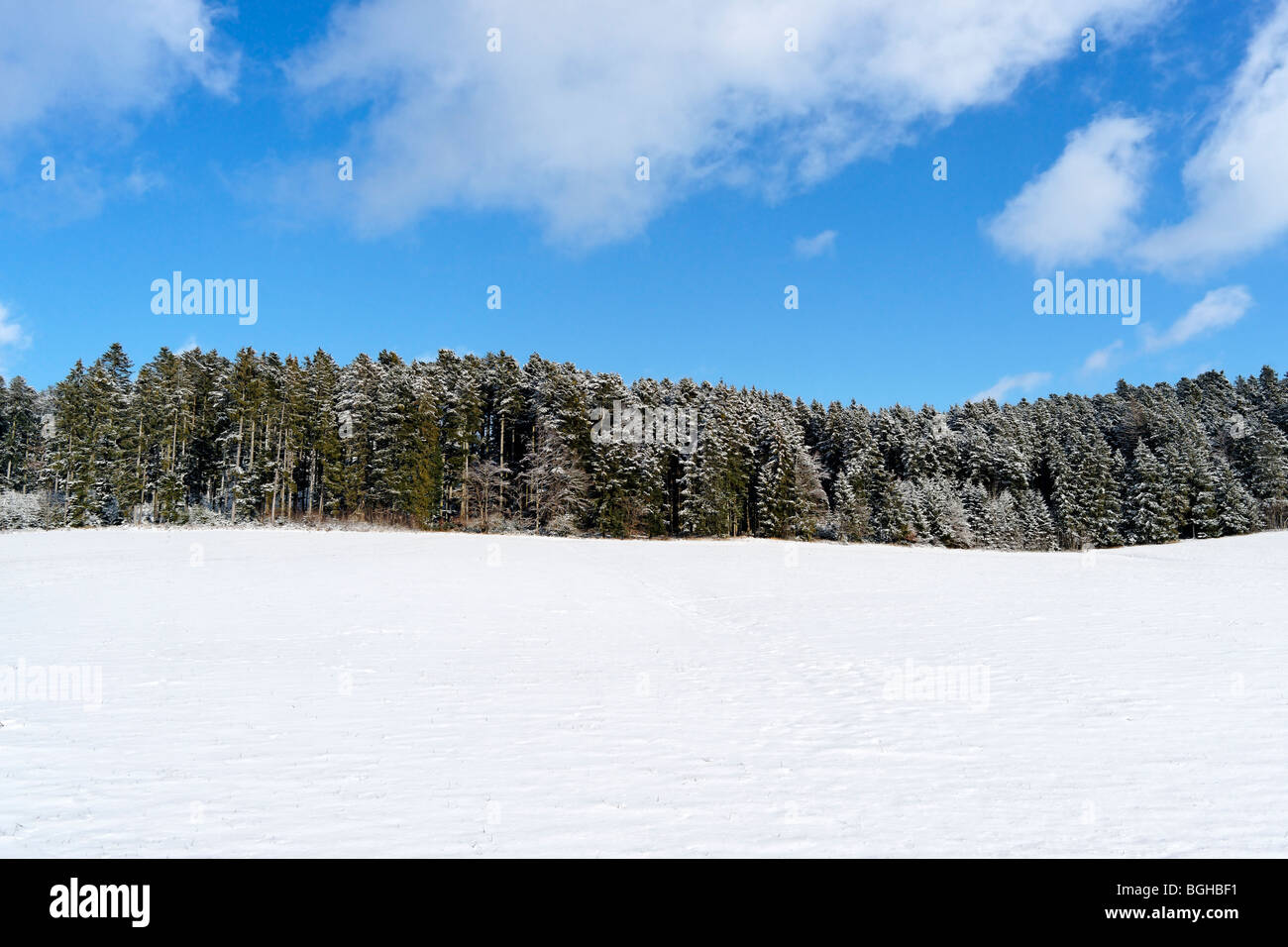 Trossingen, germany hi-res stock photography and images - Alamy