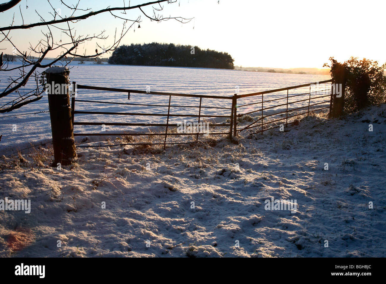 Gate snow uk hi-res stock photography and images - Alamy
