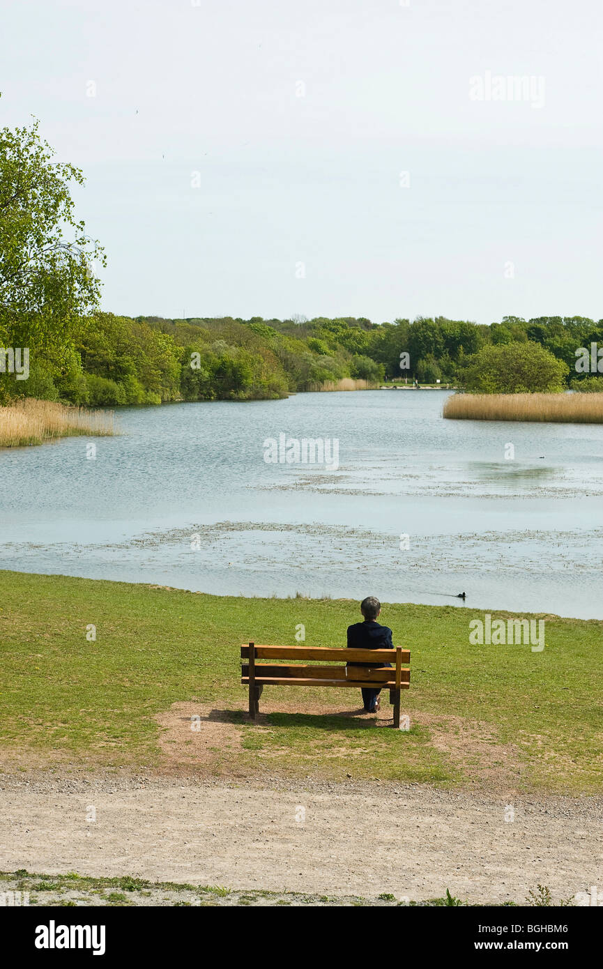 Bench overlooking pond hi-res stock photography and images - Alamy