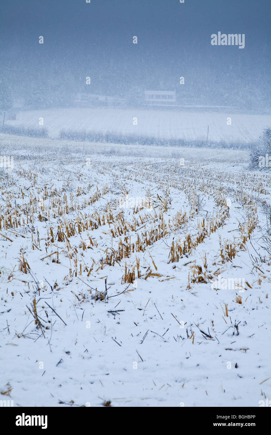 Storm Uk Farm Stock Photos & Storm Uk Farm Stock Images - Alamy