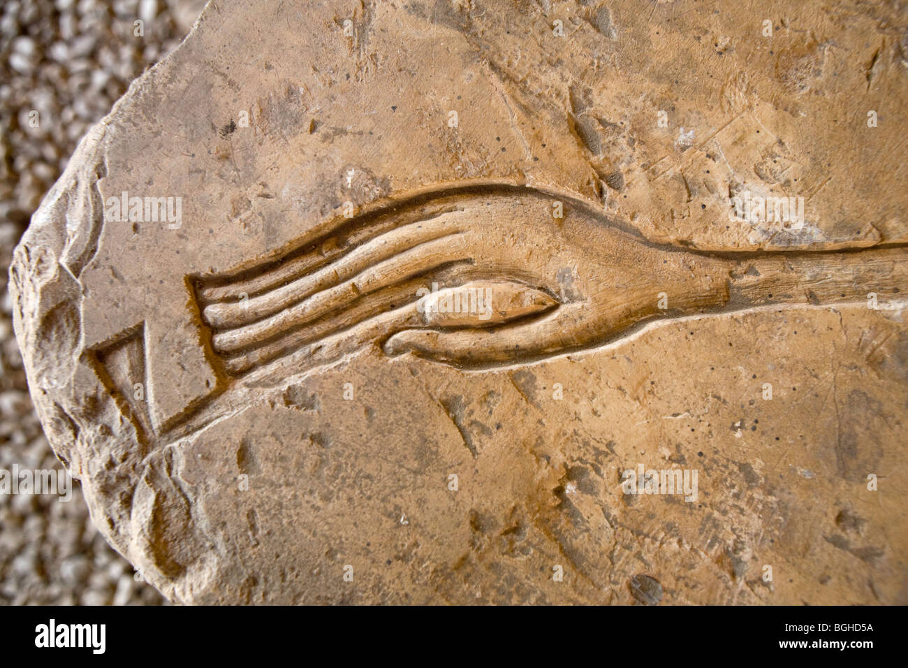 Relief of Hand holding Ankh in Amarna style on a block in the open air ...