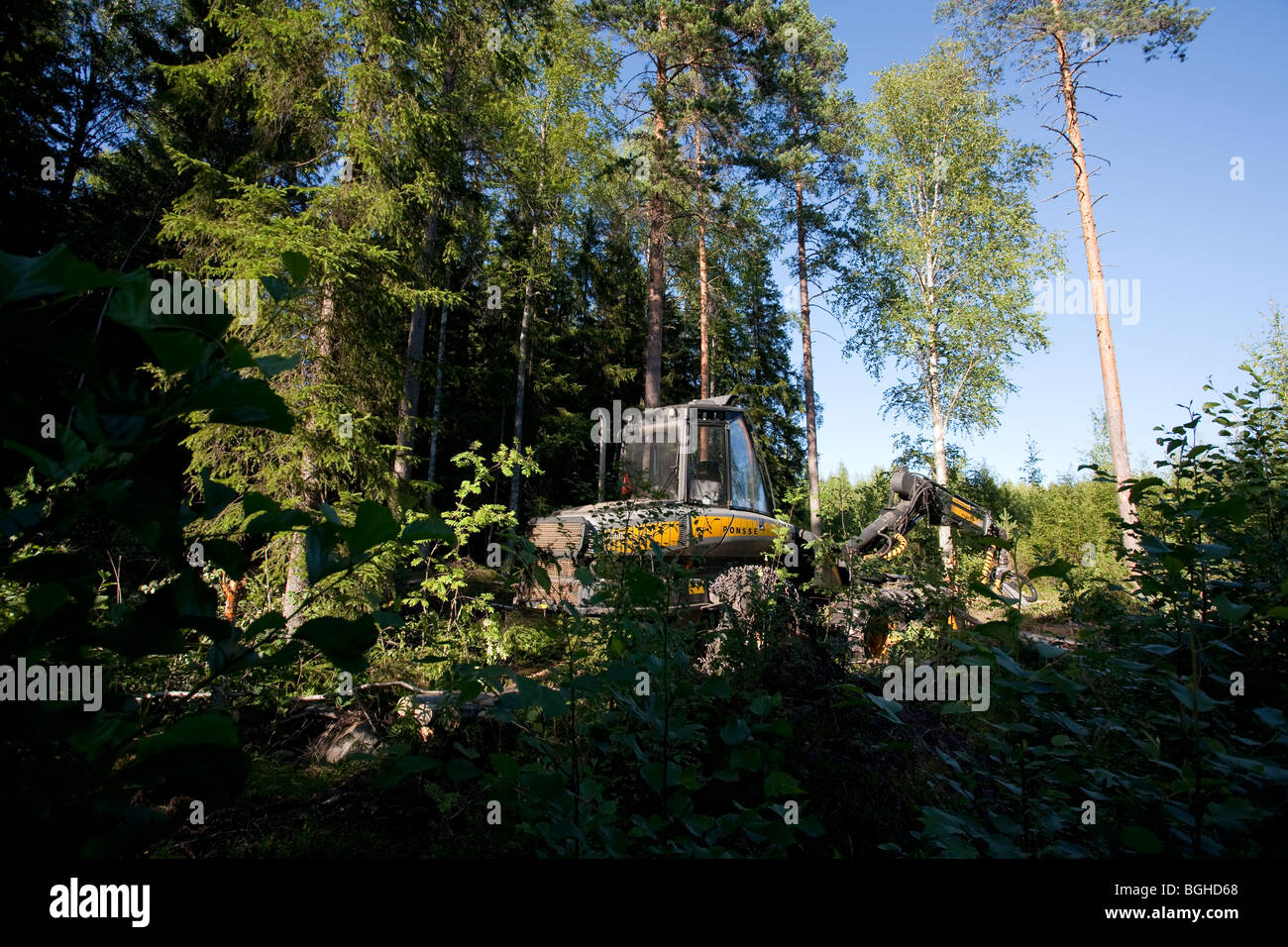 Finnish forestry hi-res stock photography and images - Alamy