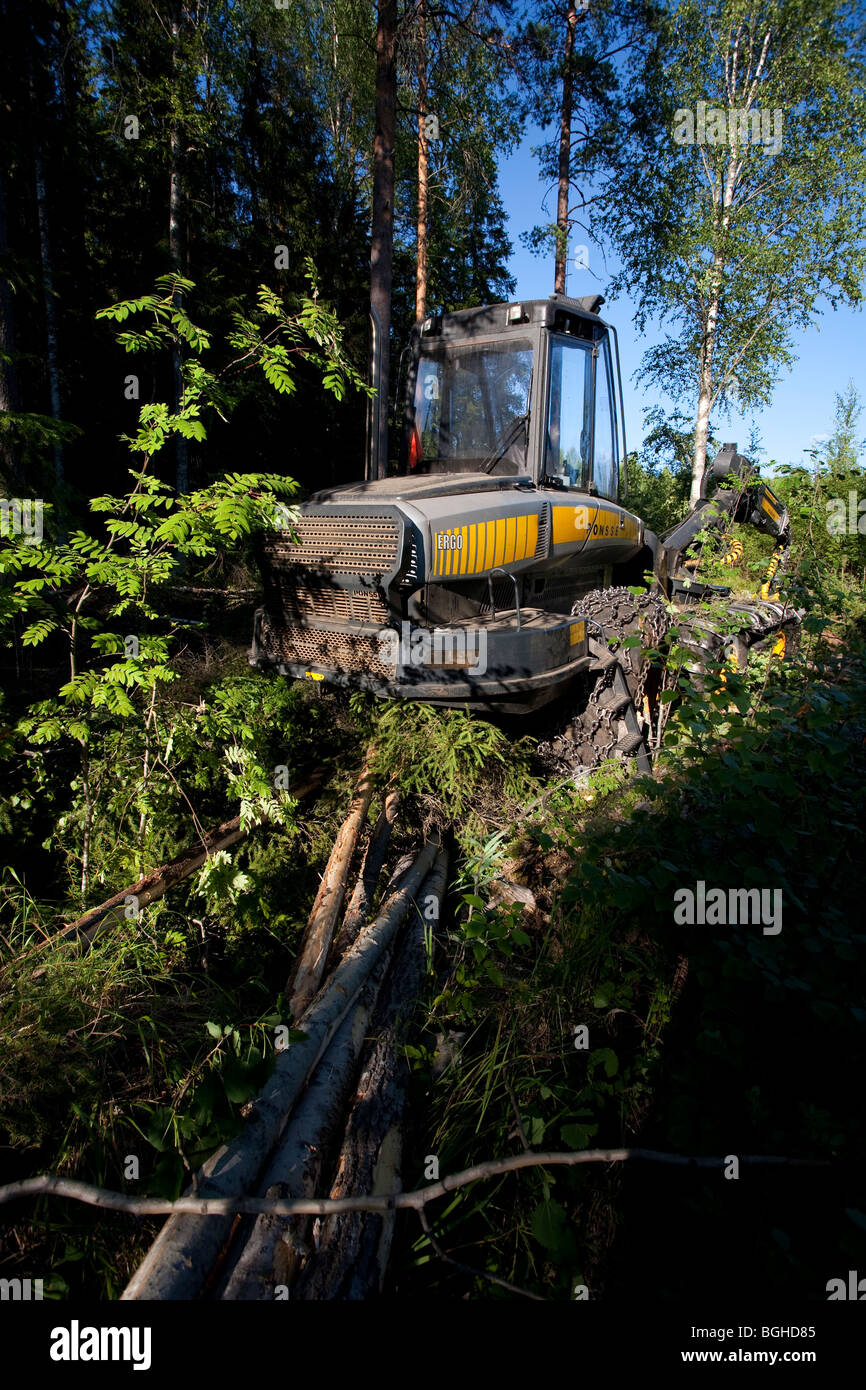 Yellow Ponsse Ergo forest harvester at felling site in Finnish forest ...