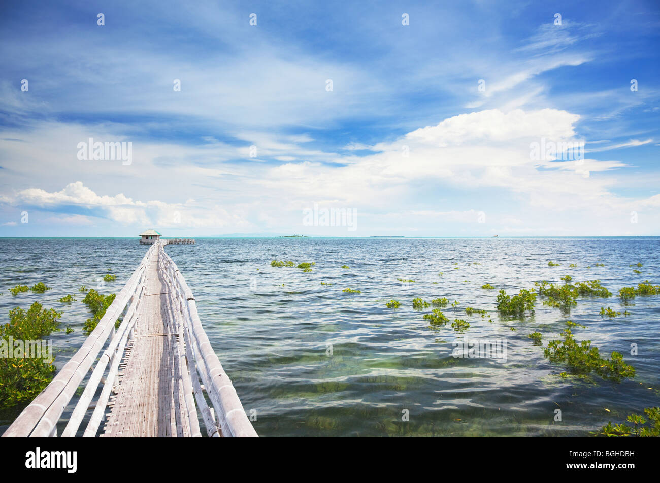 Bamboo Pier Panglao Island; Bohol; The Visayas; Philippines Stock Photo ...
