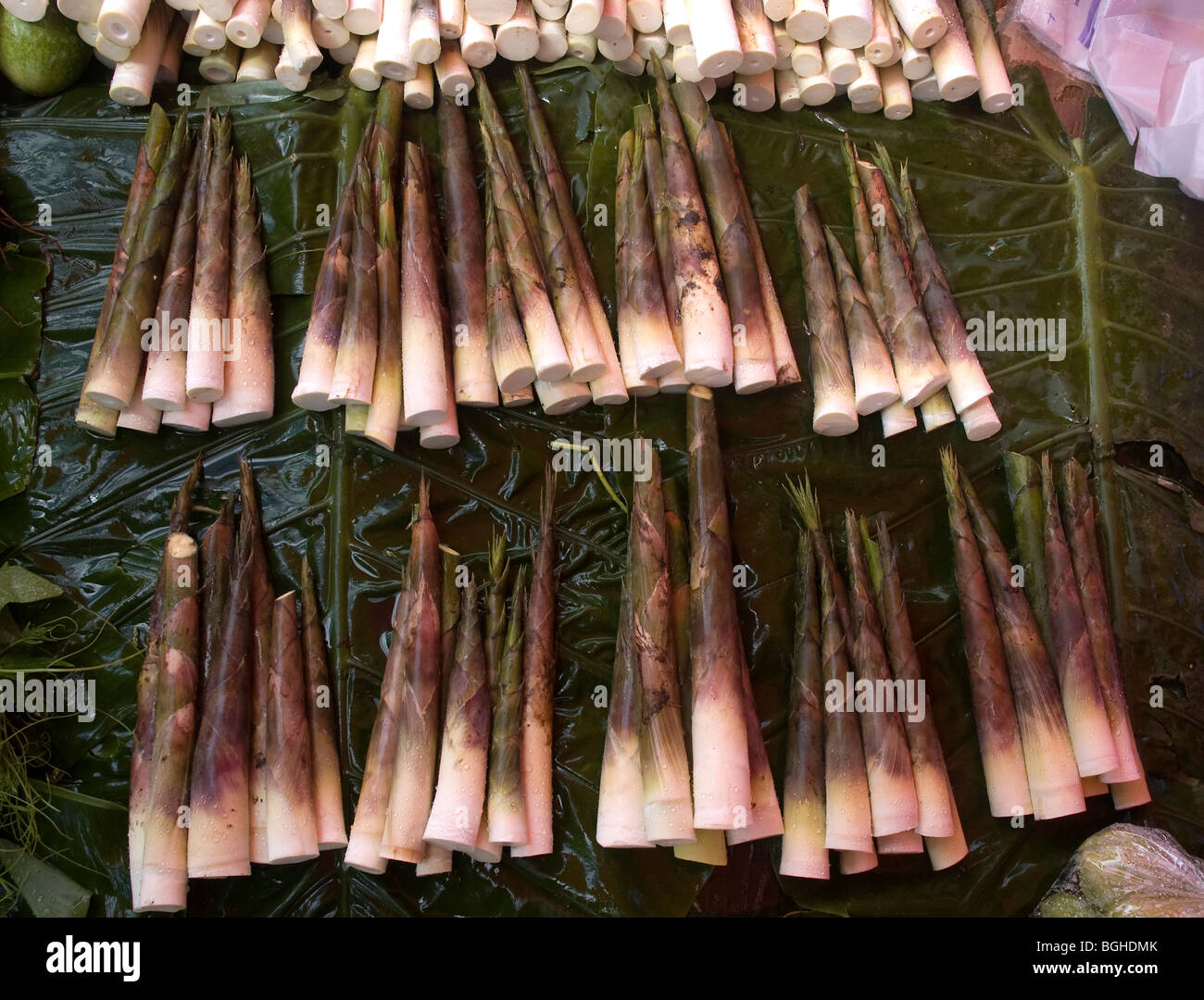 Cut bamboo shoots hi-res stock photography and images - Alamy