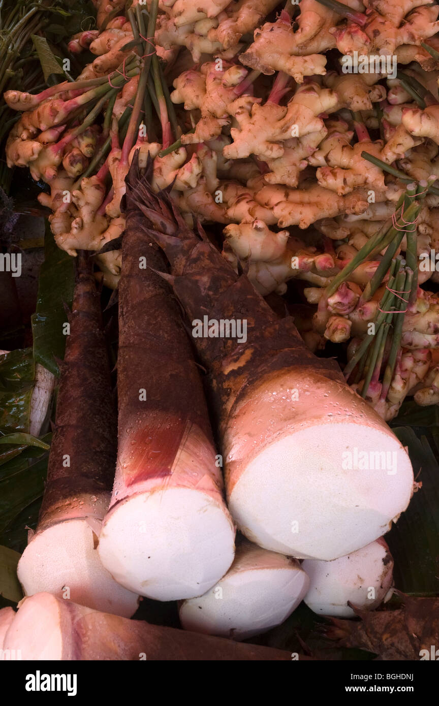 Cut bamboo shoots hi-res stock photography and images - Alamy