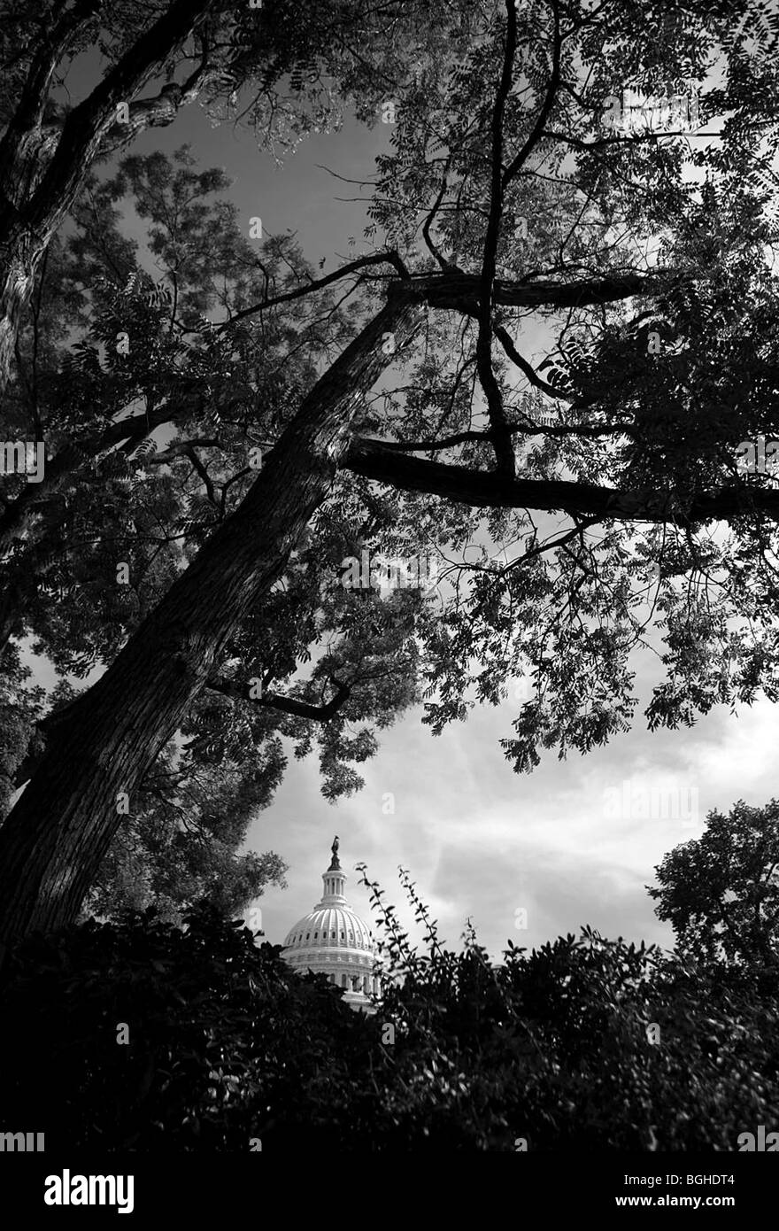 A view of the United States Capitol Building Stock Photo - Alamy