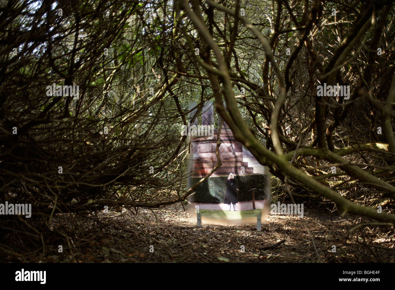 David cheshire hi-res stock photography and images - Alamy