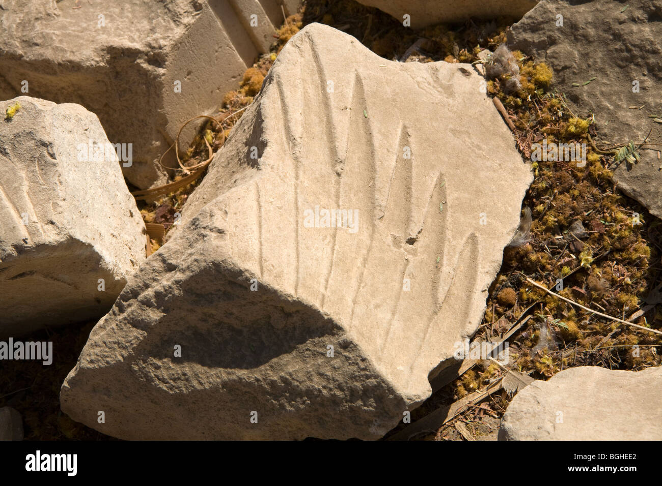 Origins Of Flight High Resolution Stock Photography and Images - Alamy