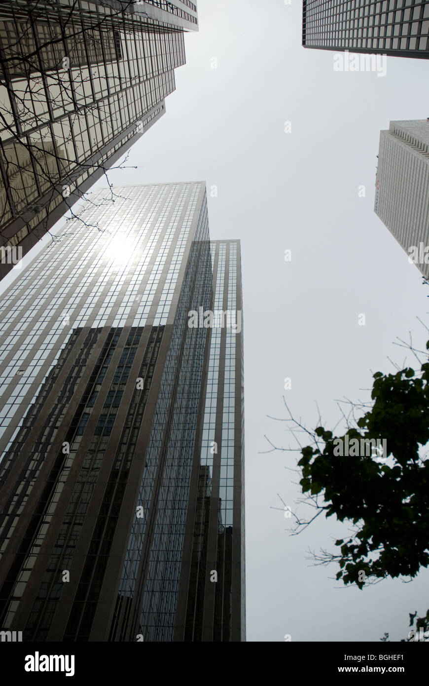Tall glass office buildings Stock Photo - Alamy