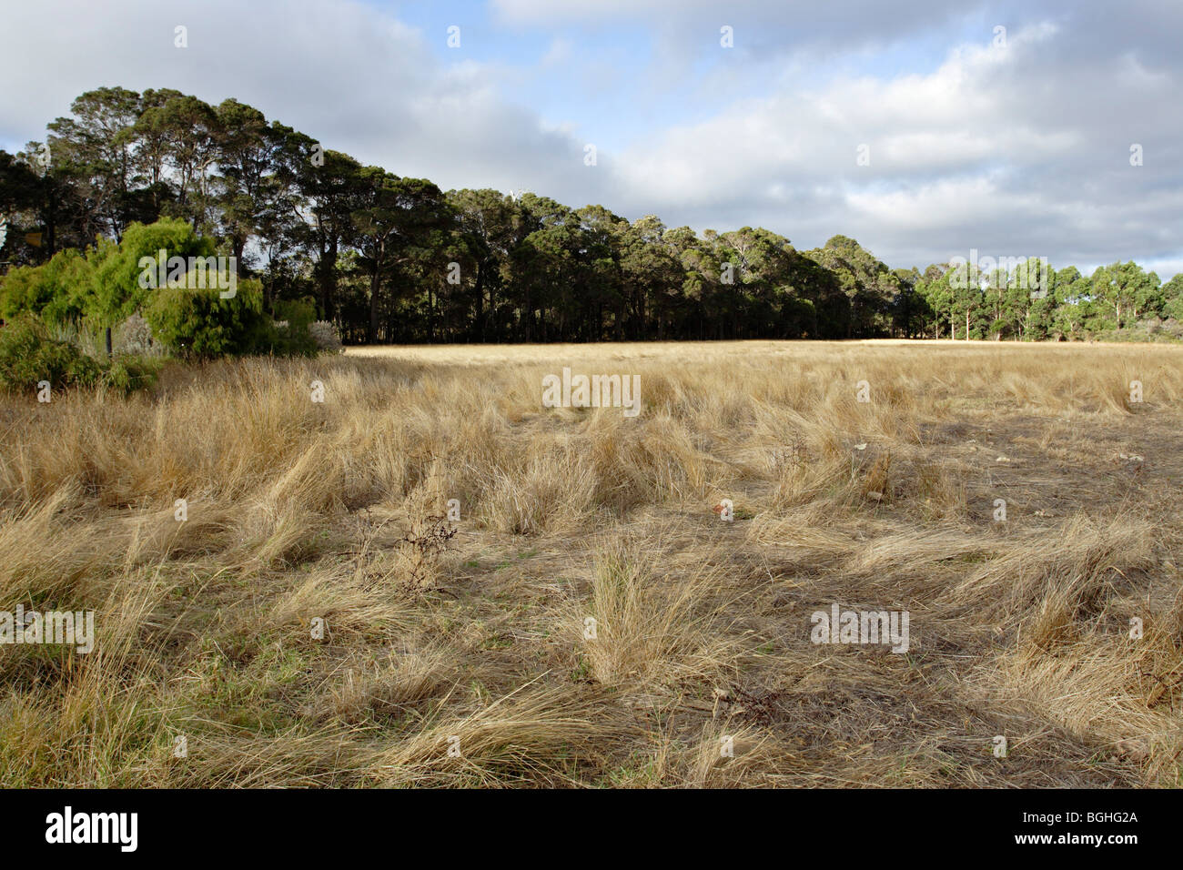 Australia sky field sun hi-res stock photography and images - Alamy