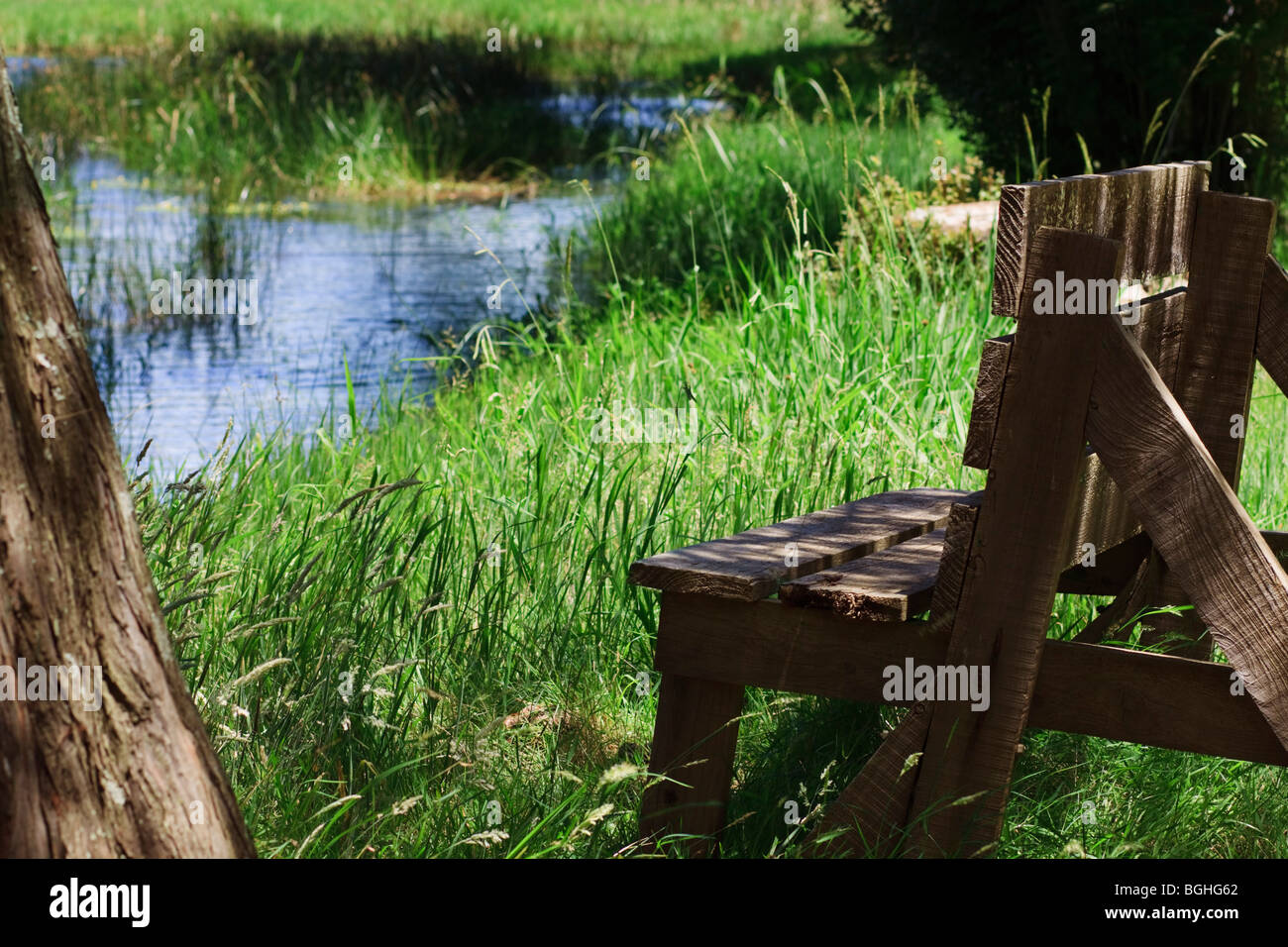 Bench in shade hi-res stock photography and images - Alamy