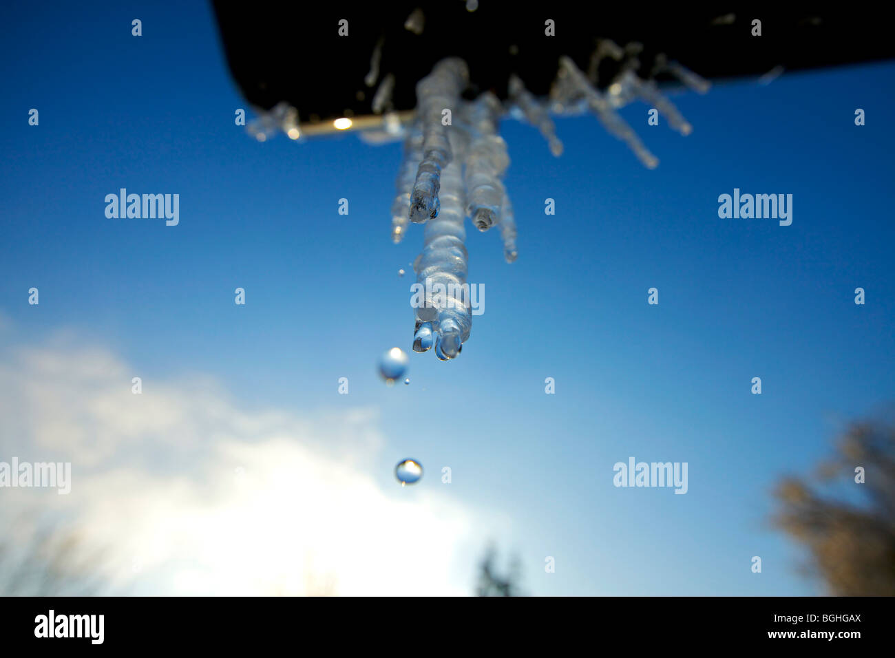 Dripping snow hi-res stock photography and images - Alamy