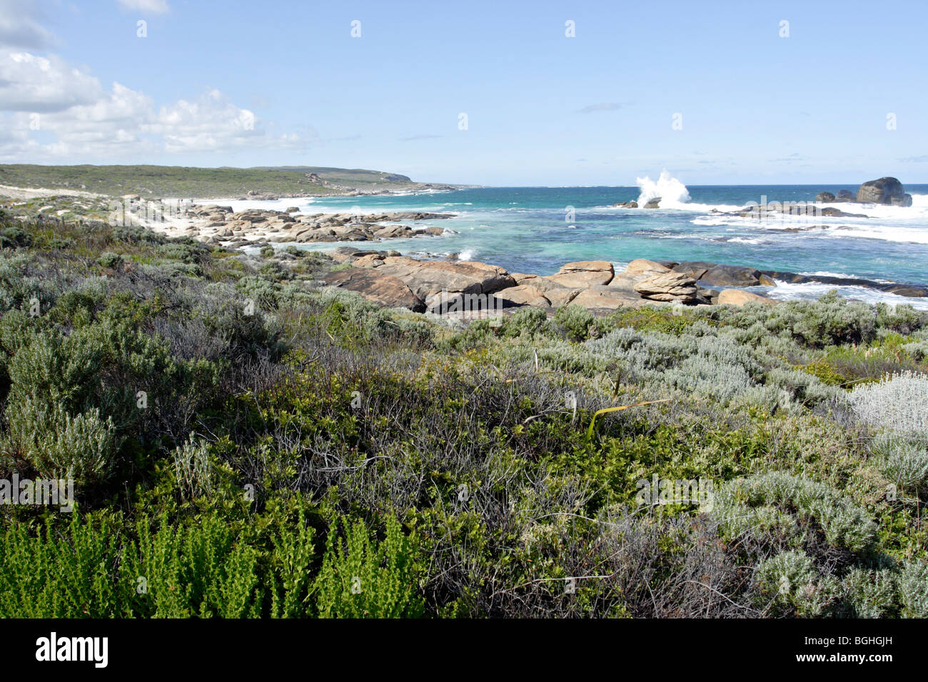 Small plants dotting Redgate beach near Margaret River in Western ...
