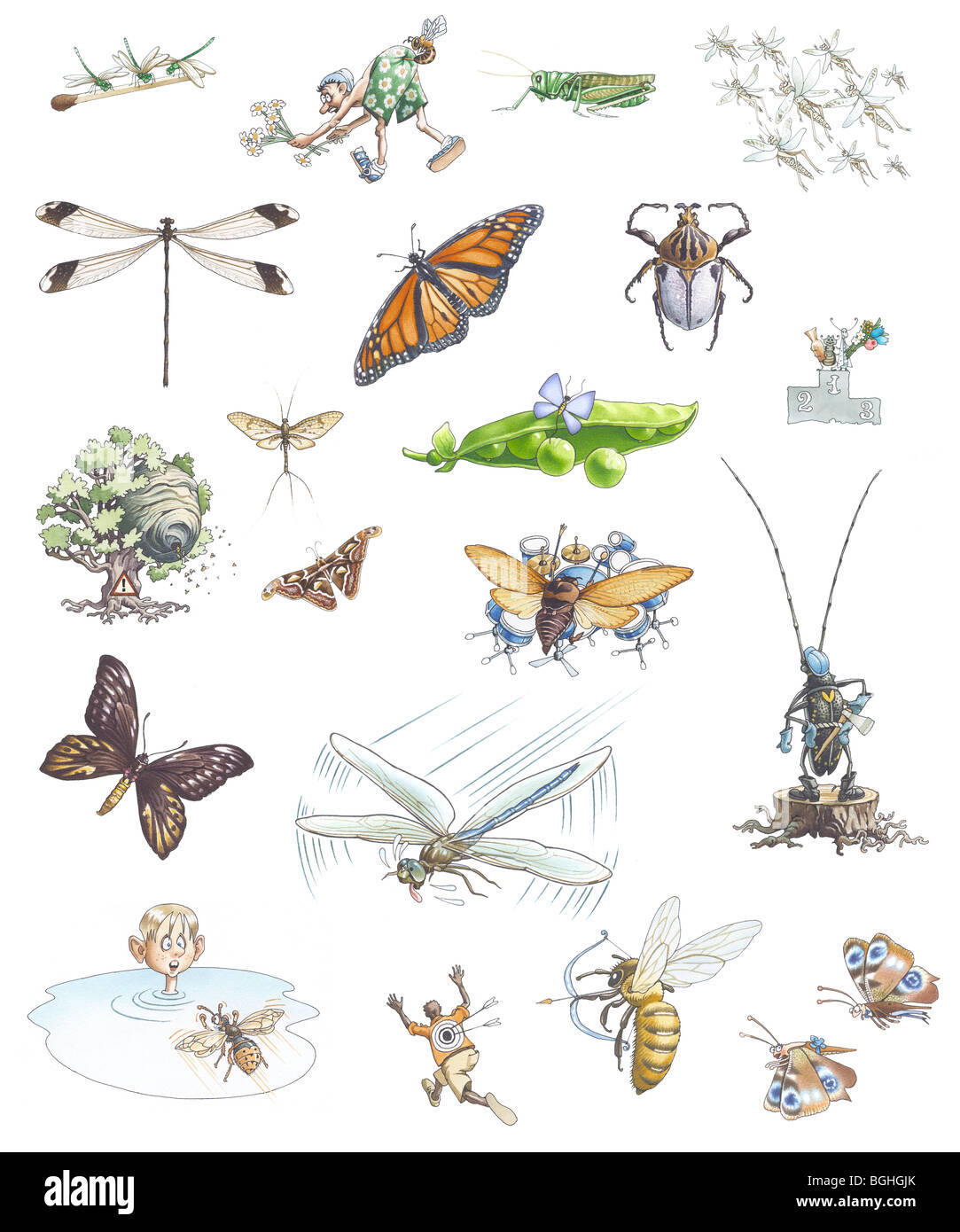 Insect calendar hi-res stock photography and images - Alamy