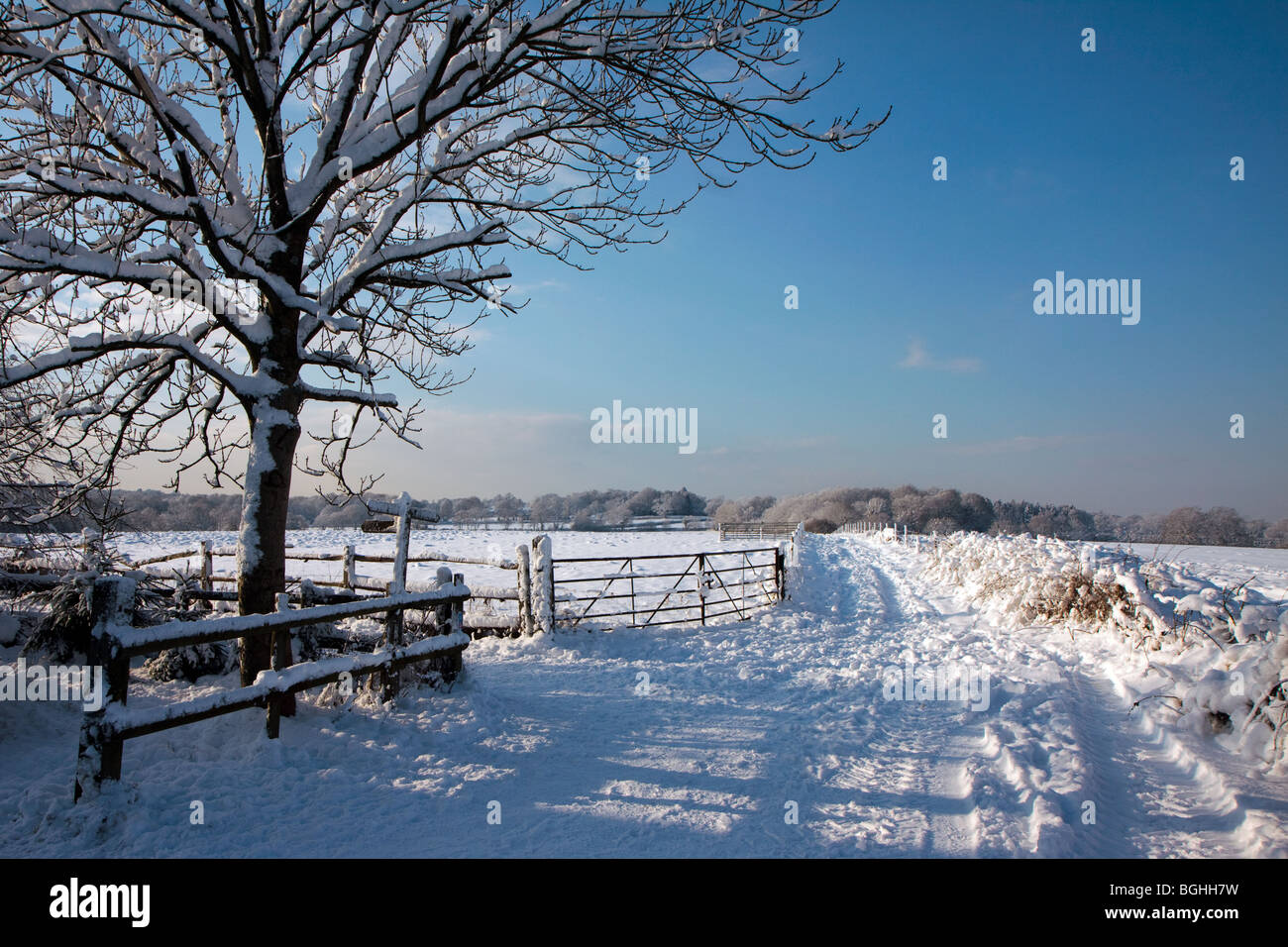 Winter scene in East Grinstead Stock Photo - Alamy