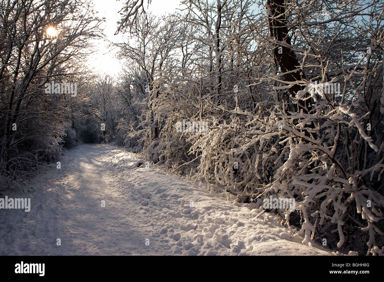East grinstead snow hi-res stock photography and images - Alamy
