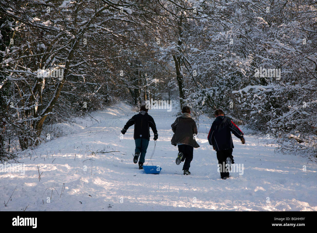 Winter scene in East Grinstead Stock Photo - Alamy