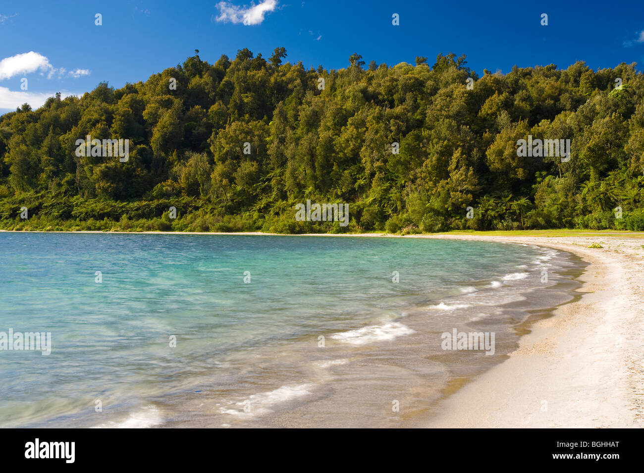 Lake Rotoma, North Island, New Zealand Stock Photo - Alamy