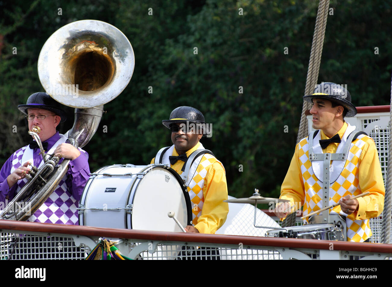 Musical Frog High Resolution Stock Photography and Images - Alamy